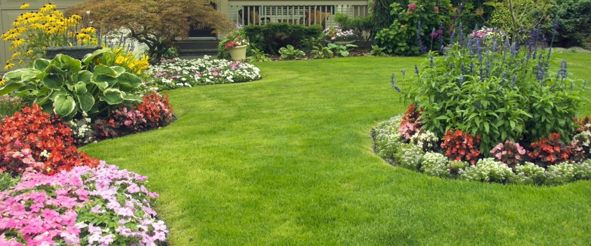 What are the steps for a nice lawn?