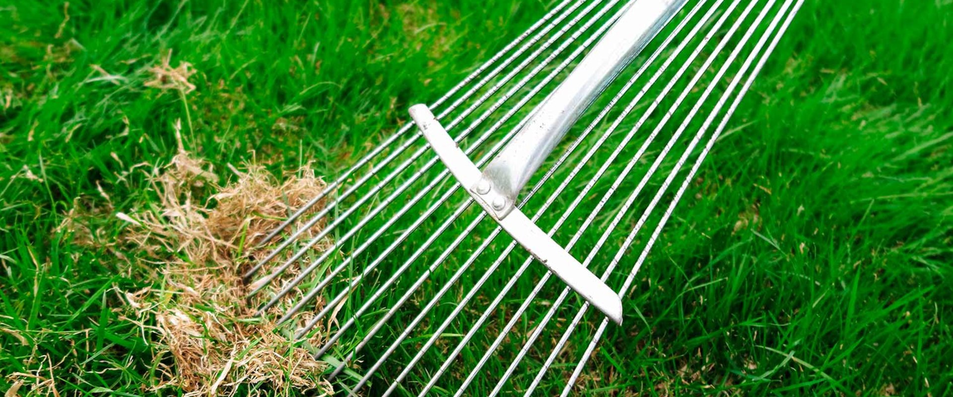 What is the best way to maintain a lawn?